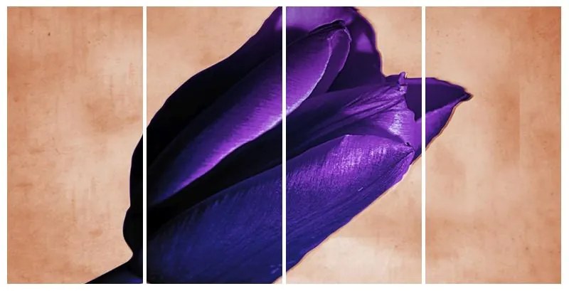 Obraz fialového květu  (160x80 cm), 40 dalších rozměrů