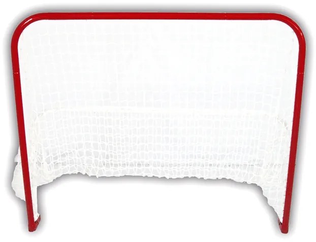 Spartan Hokejová branka STREETHOCKEY 54"