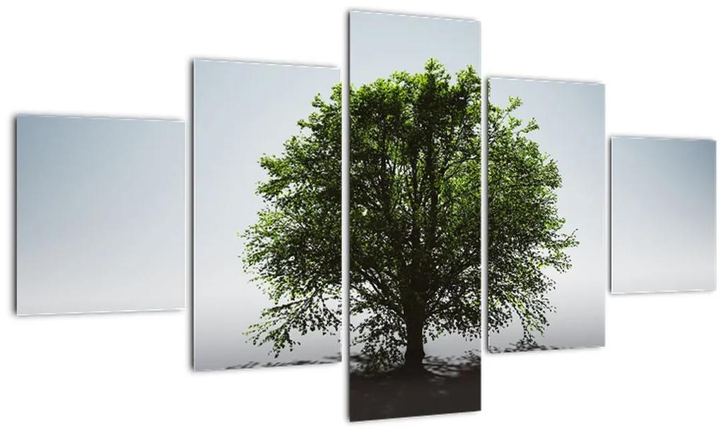Obraz - Osamocený strom (125x70 cm)