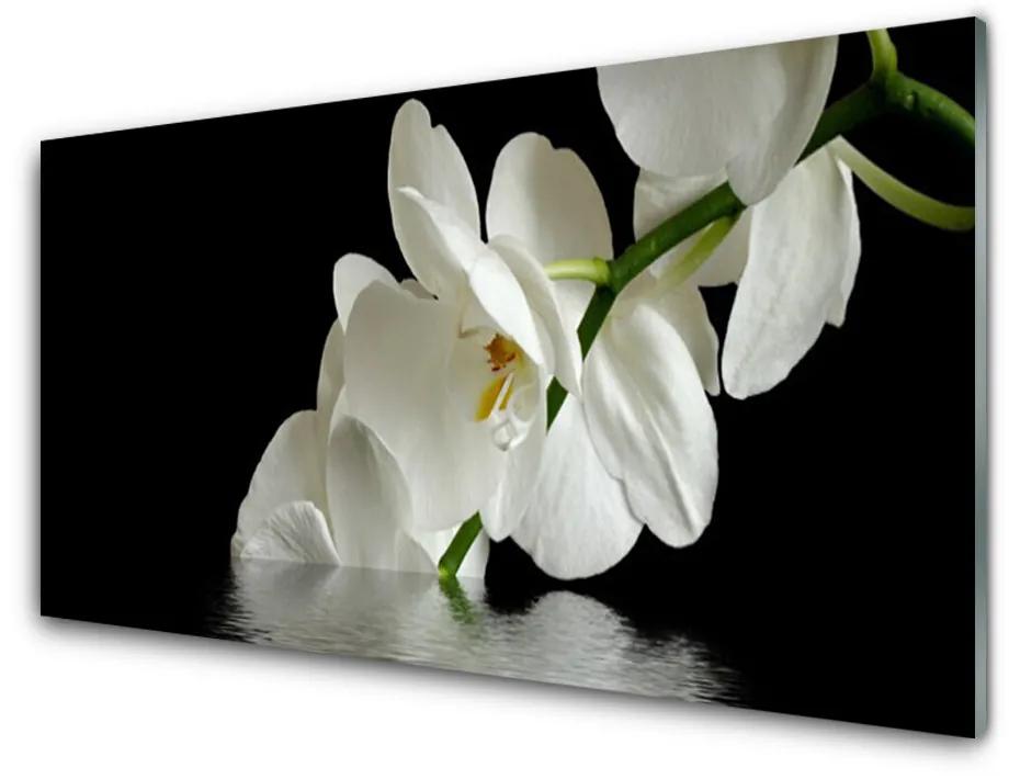 Plexisklo-obraz Orchidej ve Vodě Květiny 140x70 cm