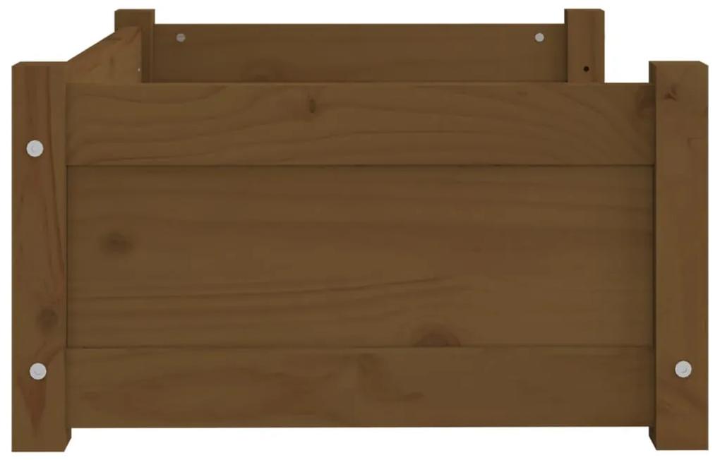 Pelíšek pro psy medově hnědý 65,5x50,5x28 cm masivní borovice