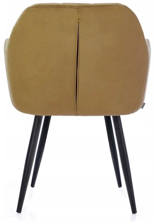 Čalouněná židle 56x45x84cm, více barev Barva: Modrá