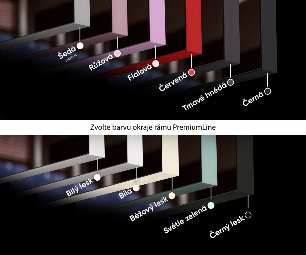 Vertikálne Zrkadlo s LED podsvietením L49