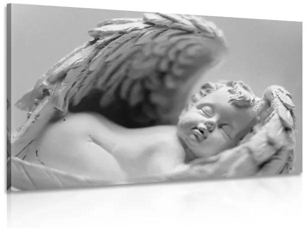 Obraz malý andílek v černobílém provedení Varianta: 120x80