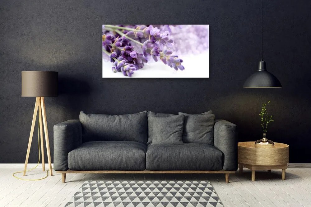 Obraz na skle Květiny Příroda Rostlina 100x50 cm