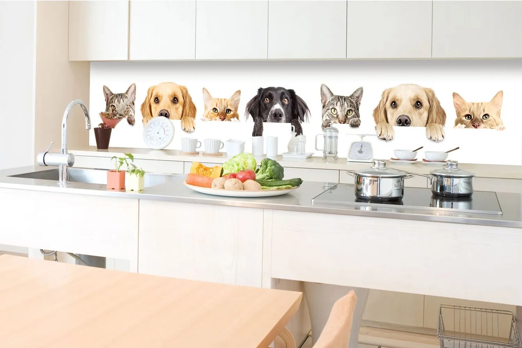 DIMEX | Fototapeta do kuchyně Kočky a psi KI-350-175 | 350 x 60 cm | bílá, šedá, černá, béžová