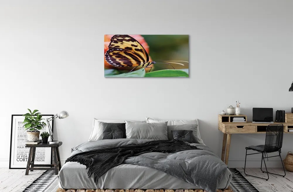 Obrazy na plátně motýl 140x70 cm