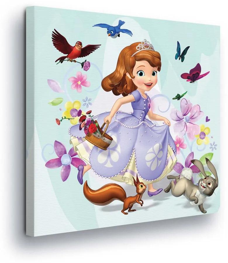 GLIX Obraz na plátně - Disney Postavička Princezna Sofia 80x80 cm