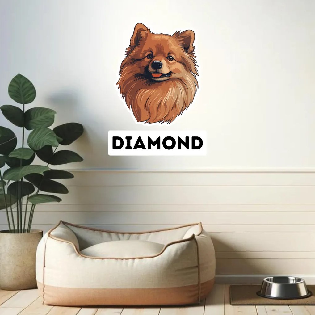 PIPPER. Nálepka Pomeranian Velikost: 60cm