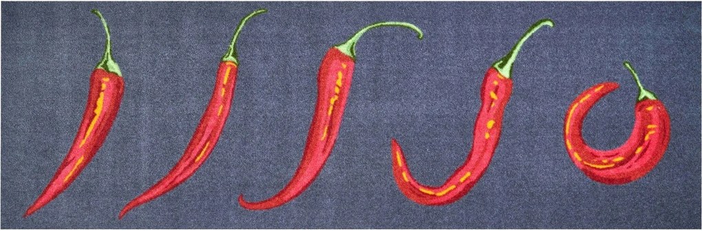 GRUND Rohožka do domácnosti HOT CHILI šedá Rozměr: 60x85 cm