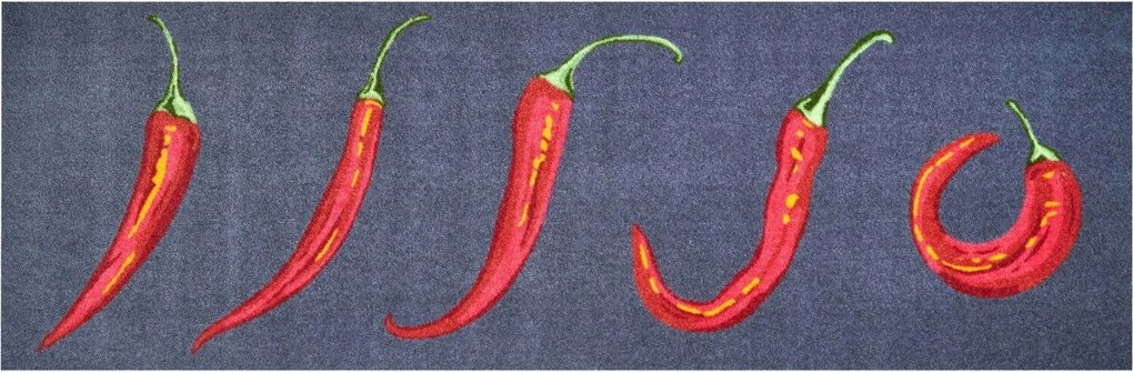 GRUND Rohožka do domácnosti HOT CHILI šedá Rozměr: 60x180 cm