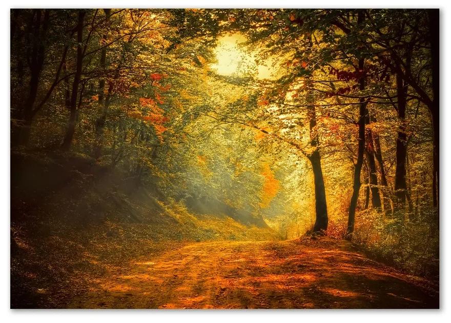 Wallmuralia Fotoobraz na skle Podzimní les 100x70 cm