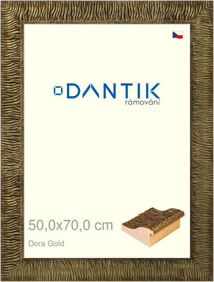 DANTIK rámeček 50x70 | Dora Gold (Plexi Čiré)