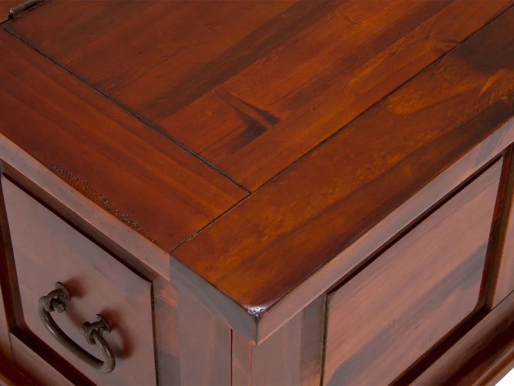 furniture-nabytek.cz - Masivní truhlice Catello z borovicového dřeva, lakovaná, hnědá