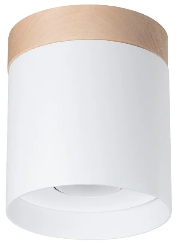 Sollux Lighting Stropní svítidlo RIF bílé