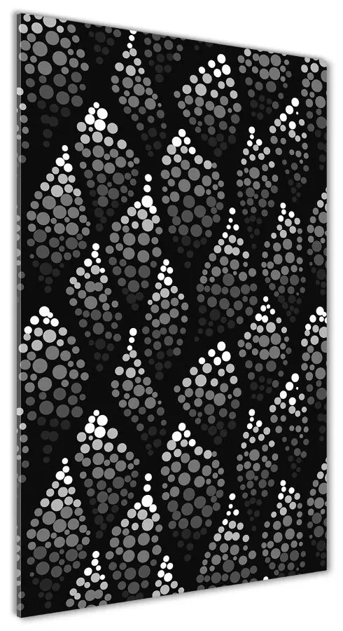 Wallmuralia Vertikální Fotoobraz na skle Černo-bílé tečky 50x100