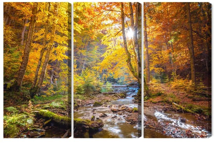 Vícedílný obraz 3D Podzimní Lesní Krajina Nedostatek Nedostatek Přírodní plátno 180x120