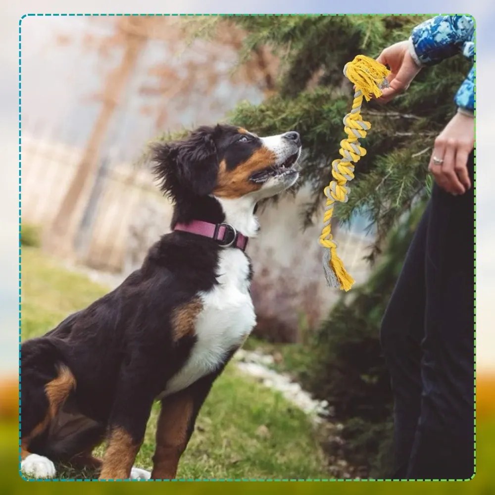 Přetahovací lano pro psy z bavlny, 60 cm, šedo-hořčicová barva