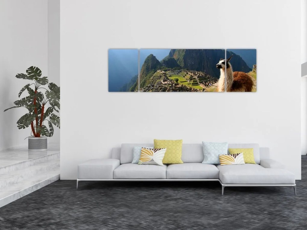 Obraz - Lama a Machu Picchu (170x50 cm)