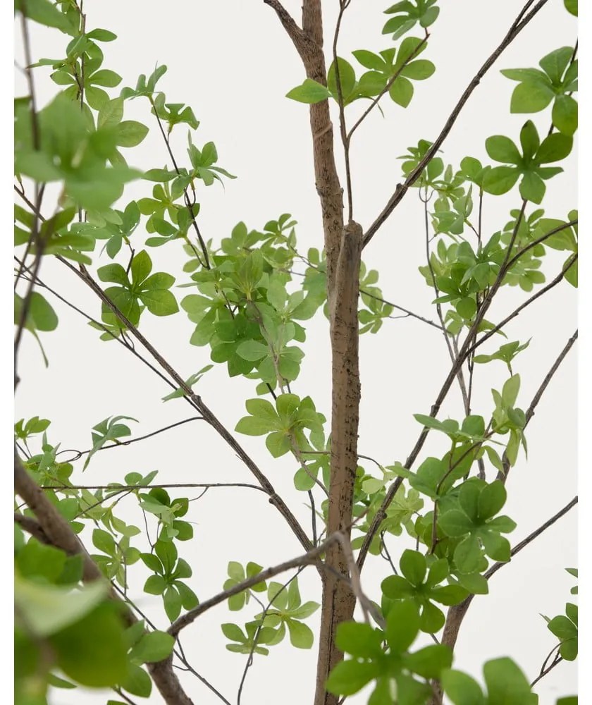 Umělá rostlina (výška 214 cm) Enkianthus – Kave Home