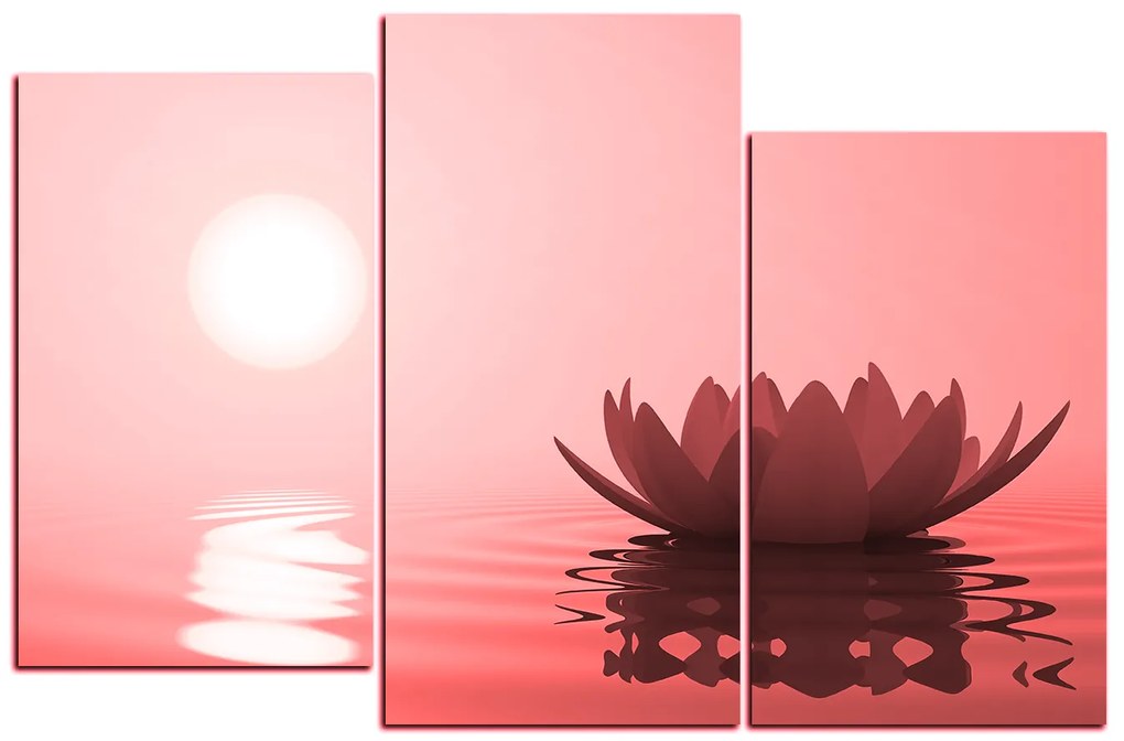 Obraz na plátně - Zen lotus 1167CC (120x80 cm)