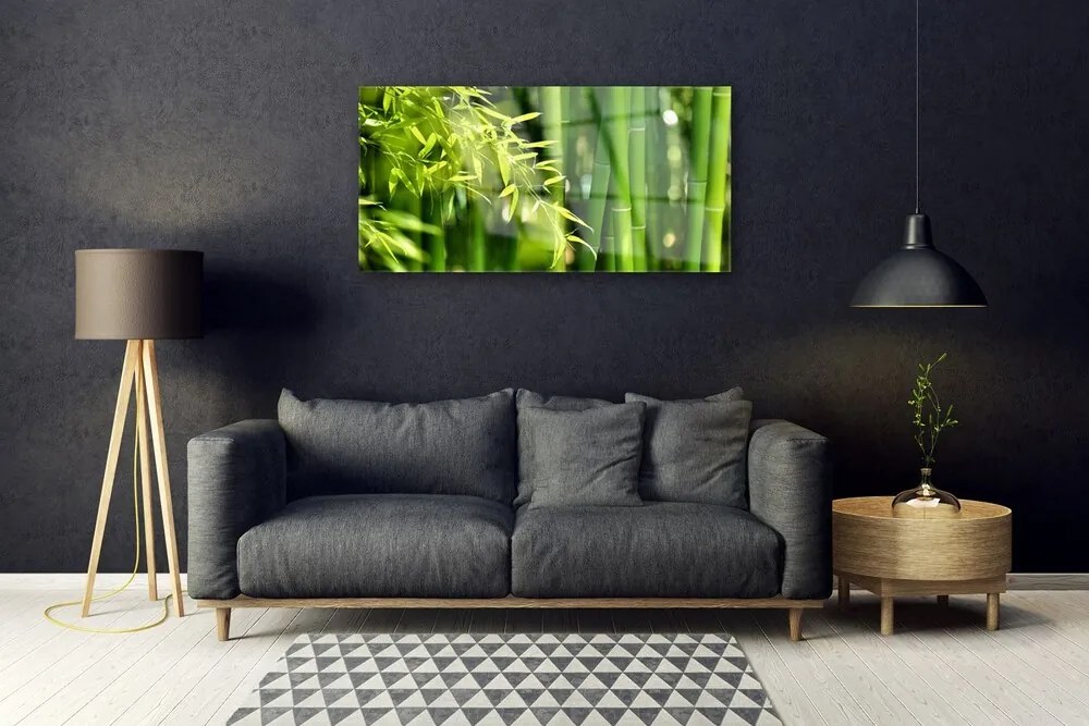 Obraz na skle Bambus Listy Rostlina 100x50 cm