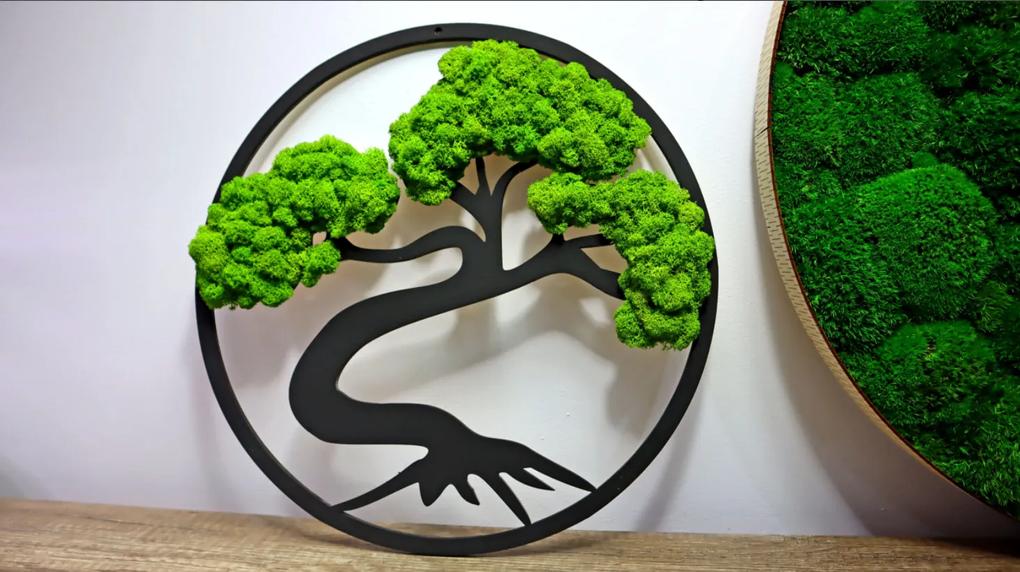 OznTo Nástěnný strom ve tvaru bonsaje více druhů,3velikosti Barva mechu: středně zelený, Barva rámečku: Bílá, Rozměr rámečku: Průměr 40cm