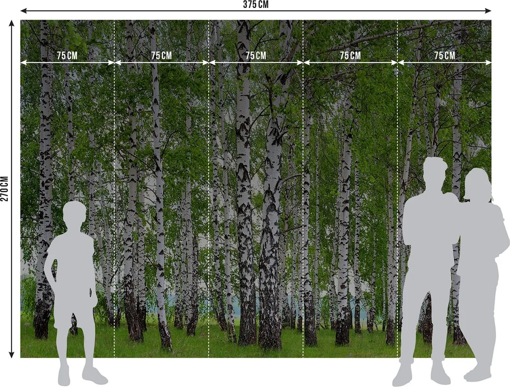 Fototapeta na míru Březový Háj | Vliesová fototapeta na zed' | DFTNS2448