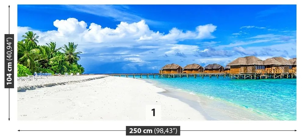 Fototapeta Maledivy 104x70