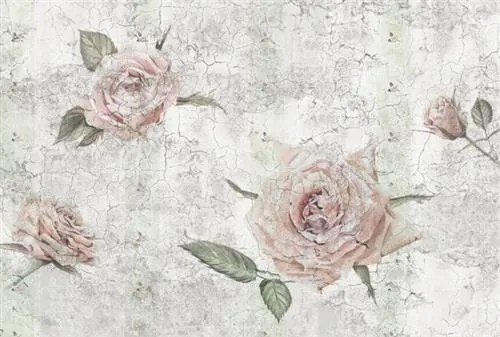 Vliesové fototapety, rozměr 368 cm x 248 cm, růže, Komar XXL4-049