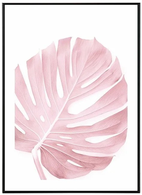 Pink Monstera - 30x40 cm Obraz