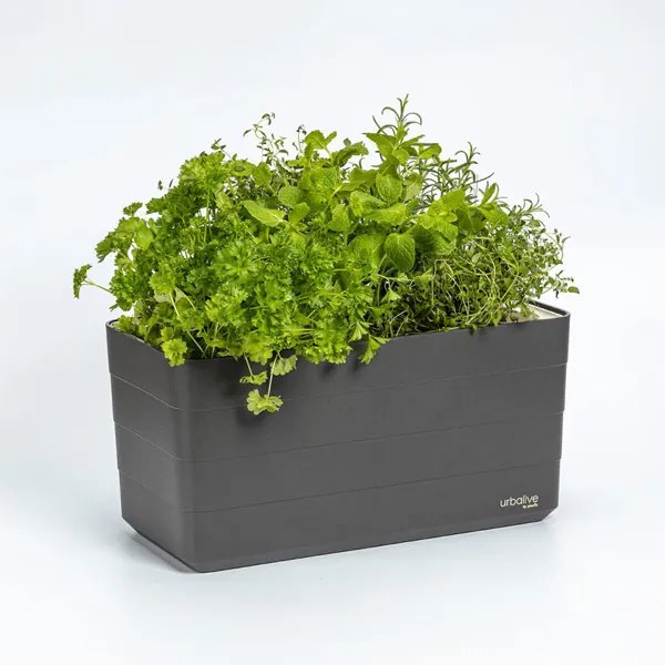 Samozavlažovací truhlík Berberis antracit/zelená 40 cm