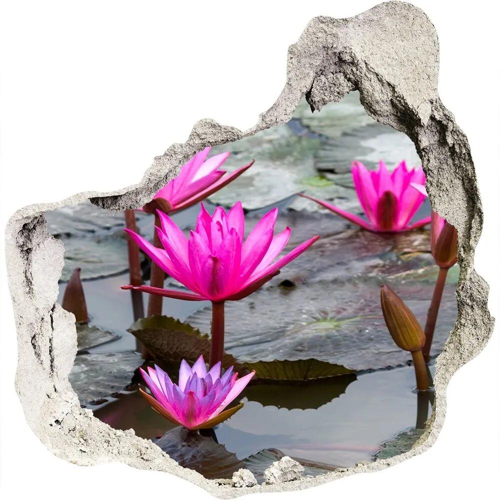 Wallmuralia Samolepící díra nálepka Květ lotosu 75x75 cm