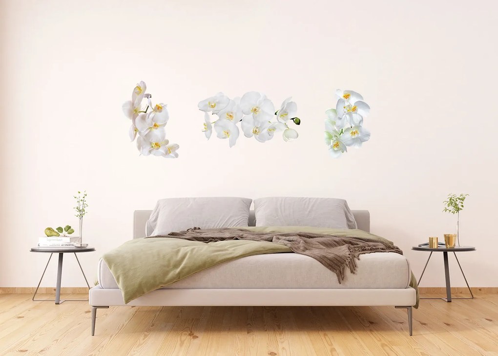 Samolepka na zeď Květy Orchideje | 65 x 85 cm | DF1068