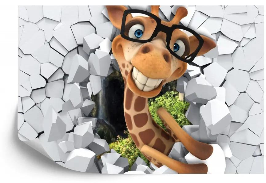 Fototapeta Smějící Se Žirafa S Brýlemi Hladký vinyl 368x254