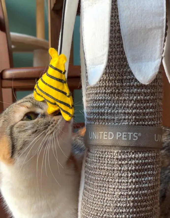 United Pets Škrabadlo pro kočky na nohu stolu květina