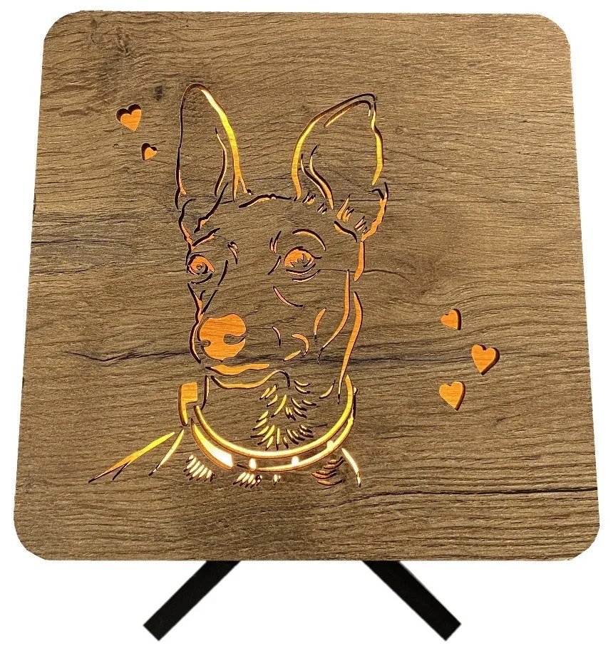 Li-Go "Faraonský pes" lampa 19x19cm provedení povrchu: dub světlý