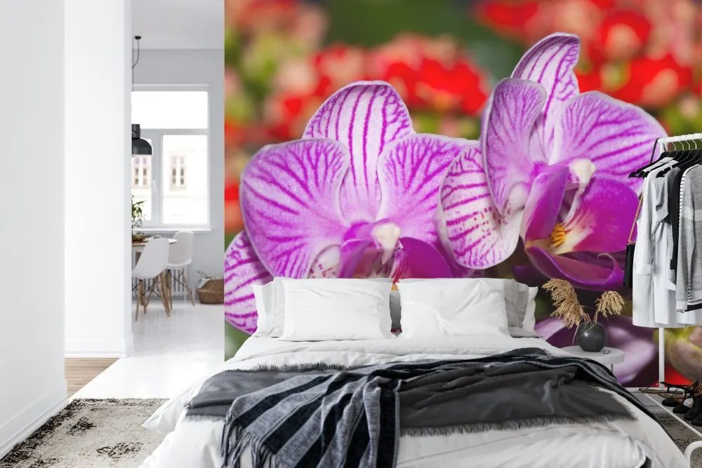 Fototapeta Optická Orchidea 3D Hladký vinyl 450x300