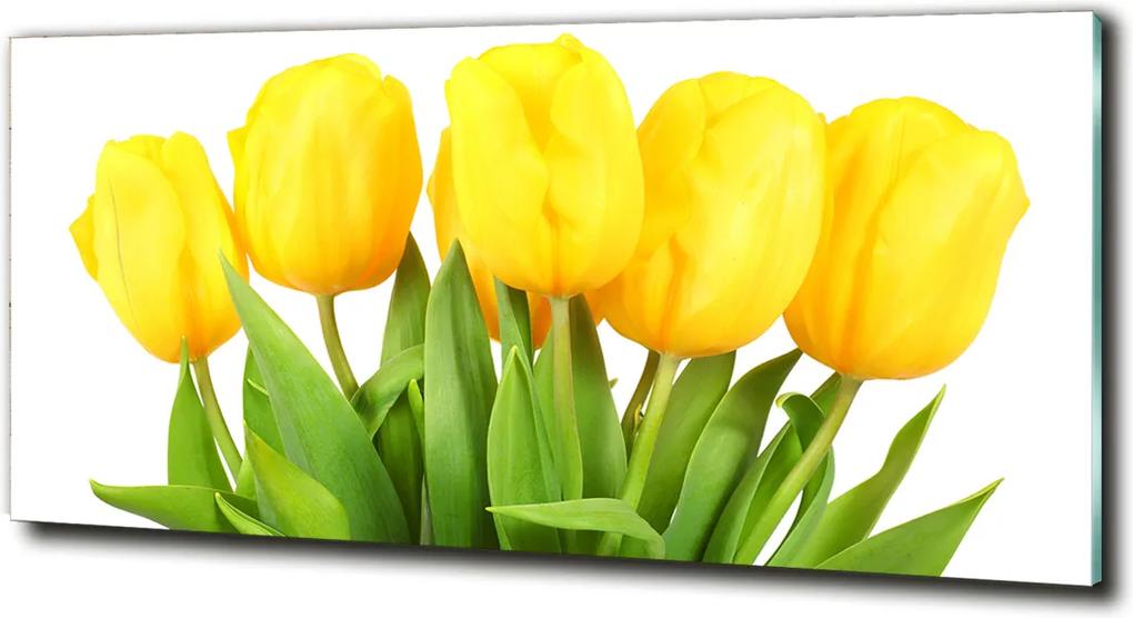 Foto-obrah sklo tvrzené Žluté tulipány