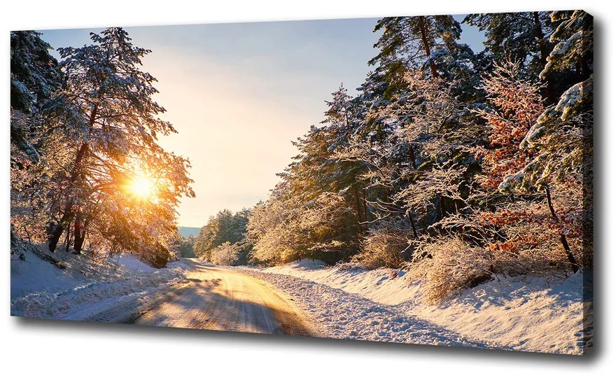 Wallmuralia Foto obraz na plátně Cesta v lese zima 100x50 cm