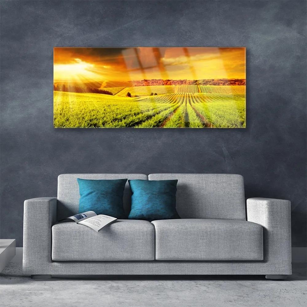 akrylový obraz Pole Západ Slunce Krajina 125x50 cm