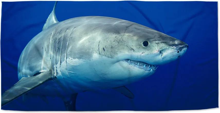 Ručník - Žralok 50x100 cm