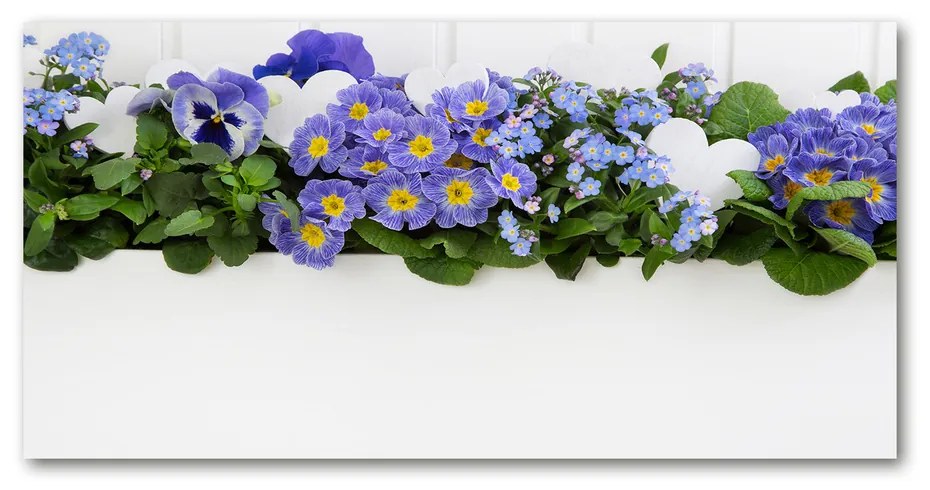 Wallmuralia Foto obraz akrylový na stěnu Modré květiny 120x60 cm