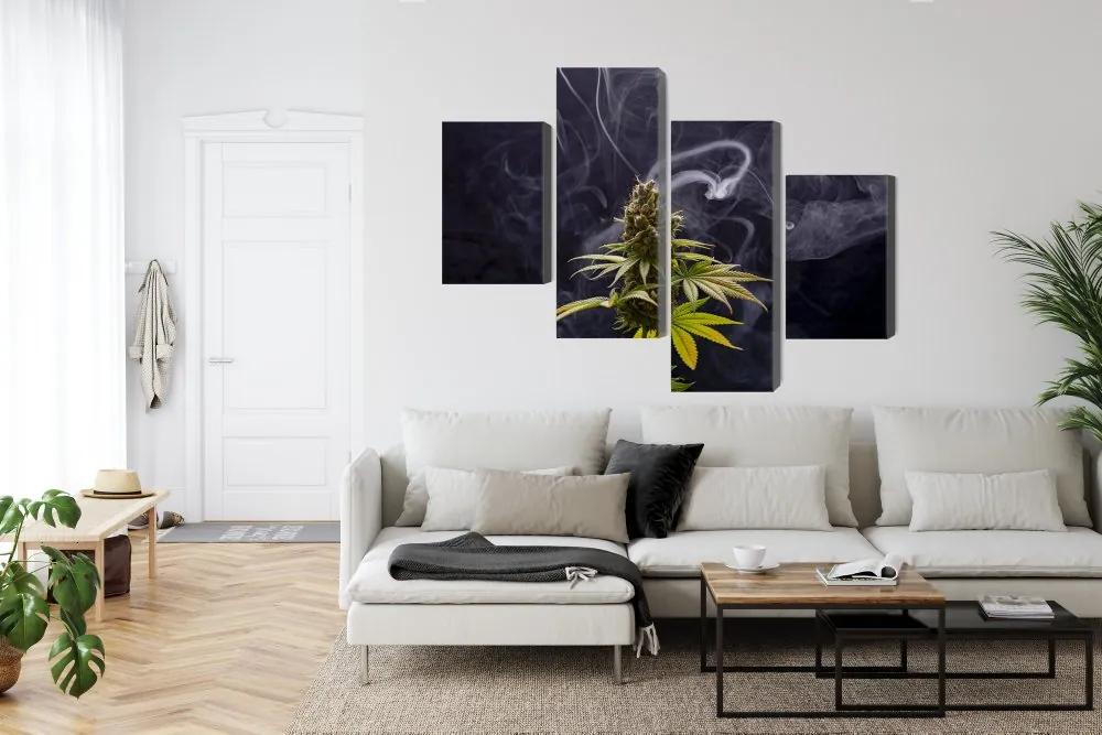 Vícedílný obraz Rostlina Konopí Na Zakouřeném Pozadí Nedostatek Nedostatek Plátno Canvas 80x50
