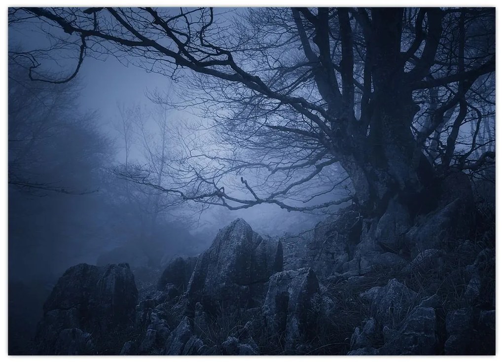 Skleněný obraz temného lesa (70x50 cm)