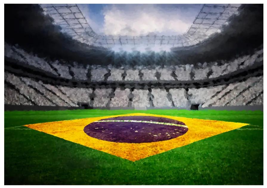 Fototapeta - Brazilský stadion 250x175 + zdarma lepidlo