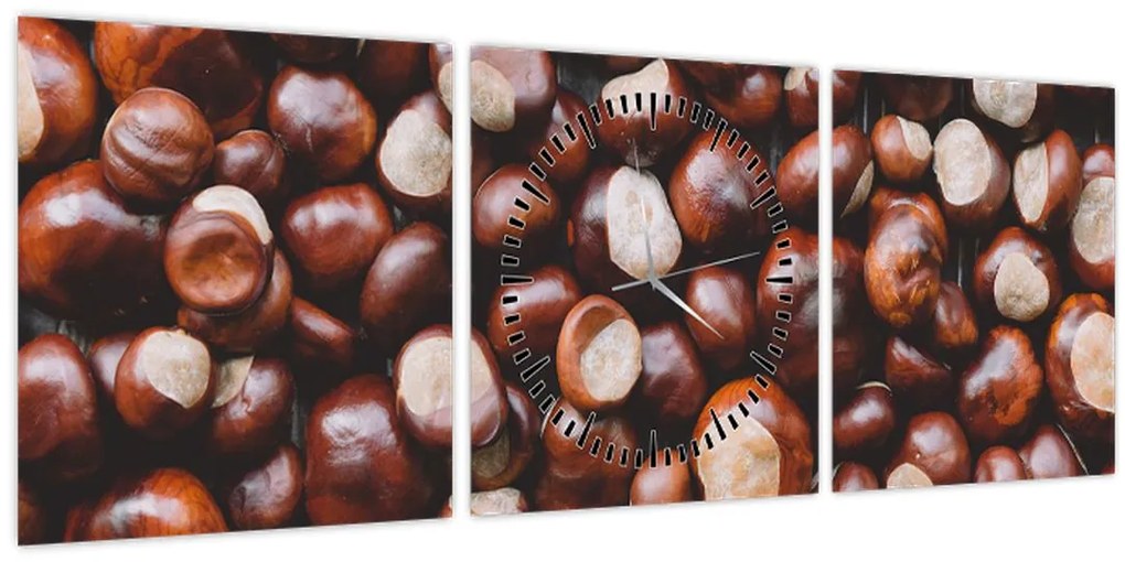 Obraz - Zralé kaštany (s hodinami) (90x30 cm)