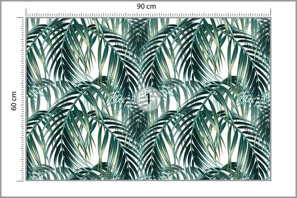 Fototapeta Palmové Listy Omyvatelný vlies 104x70.5