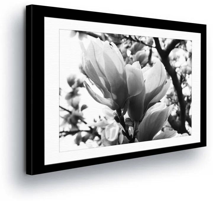 GLIX Obraz na plátně - Černobílé Květy v Paspartě 100x75 cm