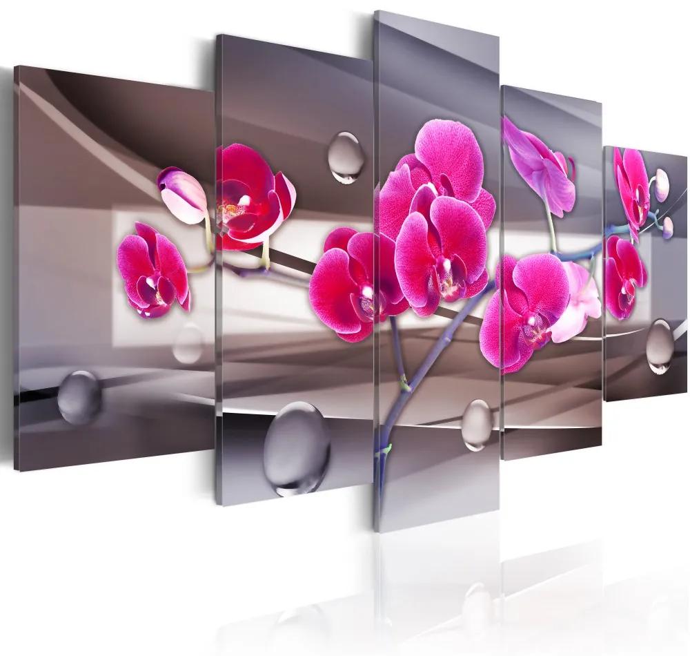 Obraz na plátně Bimago - Orchidej na tlumené pozadí 200x100 cm
